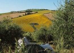 Rentac Camper en Caravan Verhuur - Gratis All-Inclusive - Professioneel